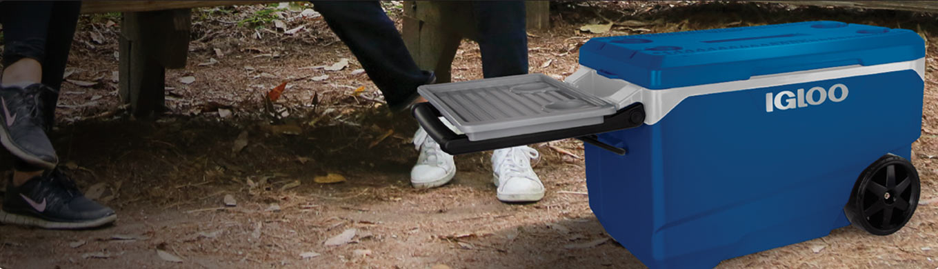 Igloo Coolbox Guide | Costco UK