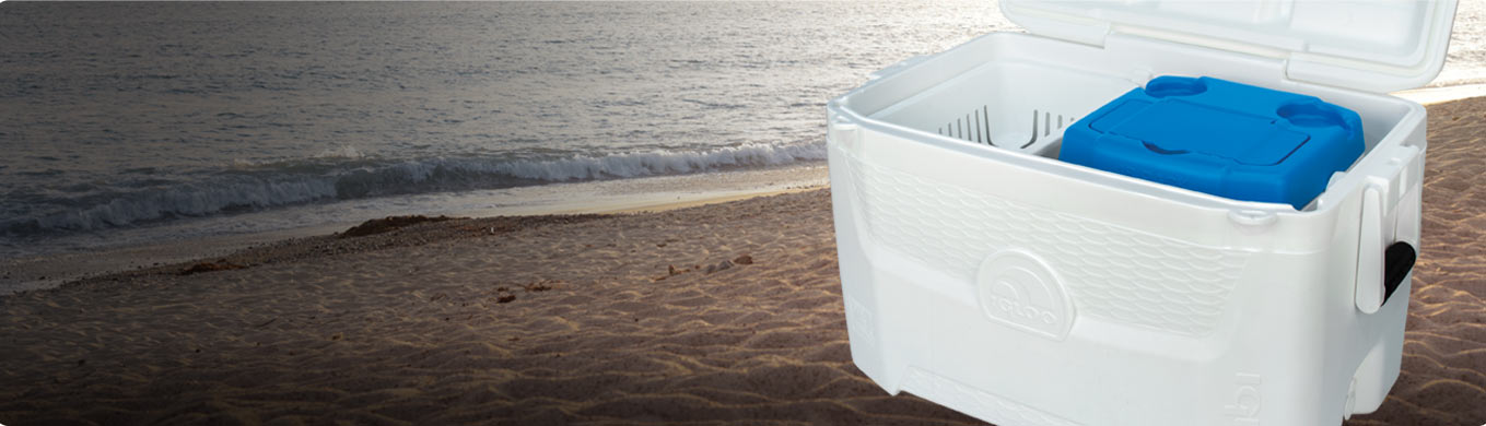 Igloo Coolbox Guide | Costco UK