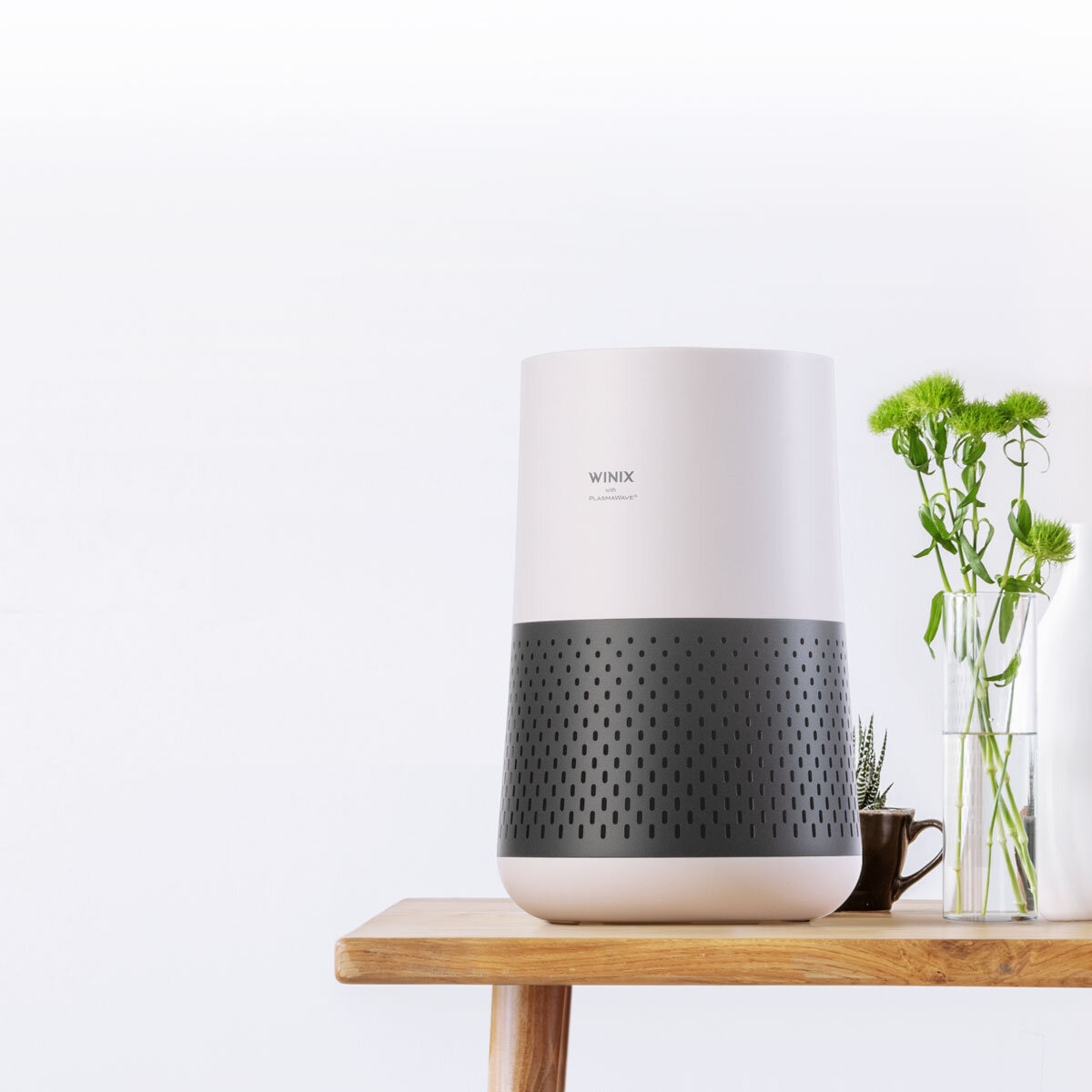 Winix zero air purifier costco uk store