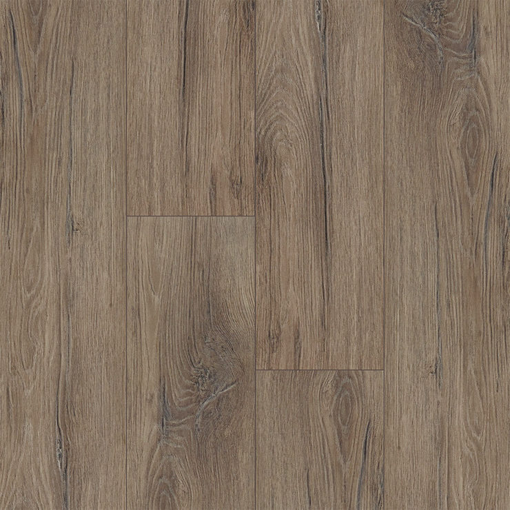Golden Select Silverwood (Silver Birch) Laminate Flooring with Foam ...