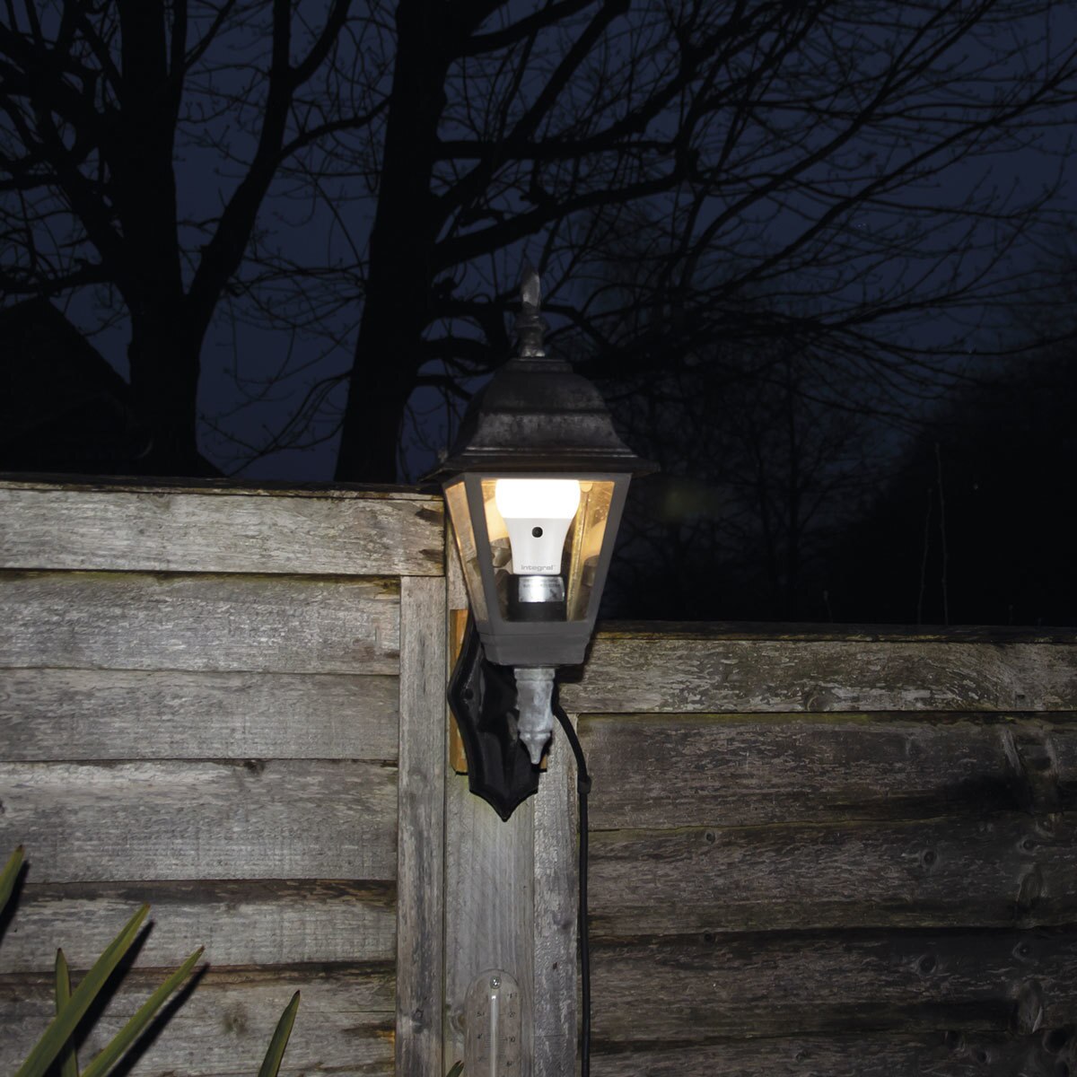 Integral LED 8.5W Auto-Sensor Classic Globe GLS Bulb (2 Pack) - E27 Screw Base | Costco UK