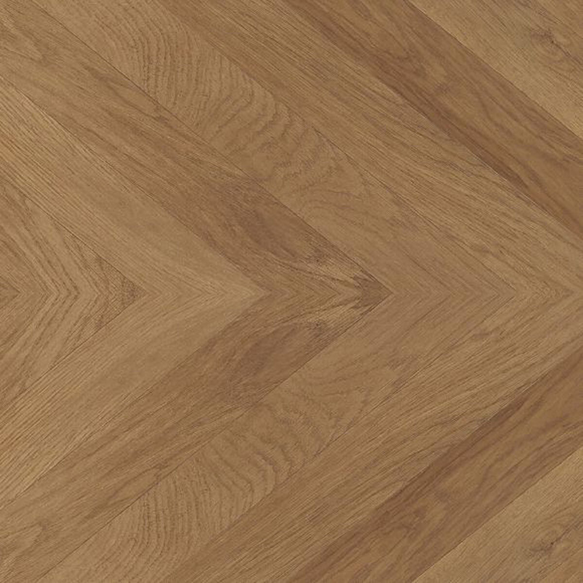 Faus Chevron Natural Oak Laminate Flooring - Sample Only ...