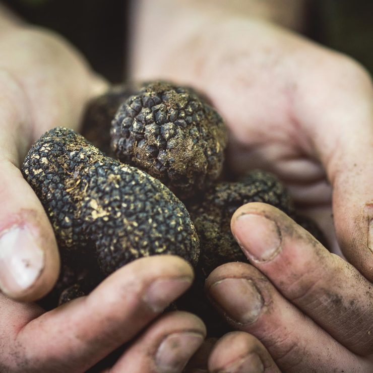 Truffle Hunter Fresh Black Summer Truffles (Tuber Aestivum), 100g ...