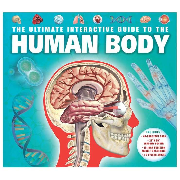 The Ultimate Interactive Guide to the Human Body | Costco UK